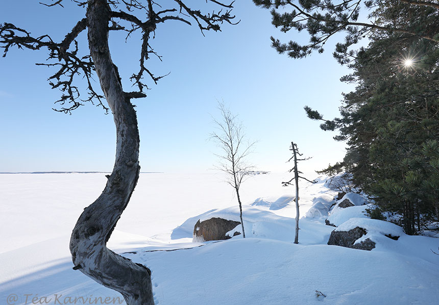 Itäinen Suomenlahti / winter - Tea Karvinen