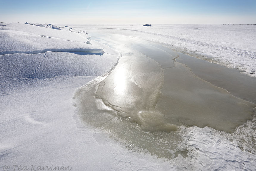 Itäinen Suomenlahti / winter - Tea Karvinen
