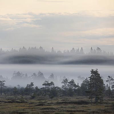 Instagram photos - Tea Karvinen